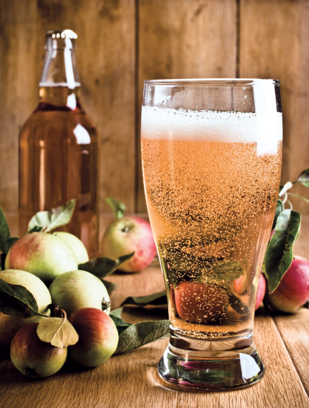 How to Make Hard Apple Cider – Mother Earth Gardener